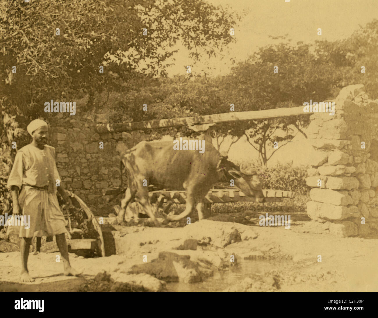 A water wheel in Egypt Stock Photo - Alamy