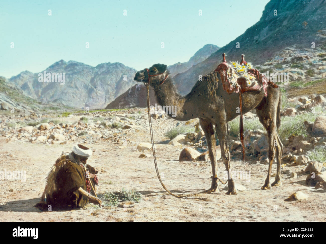 Wady hi-res stock photography and images - Alamy