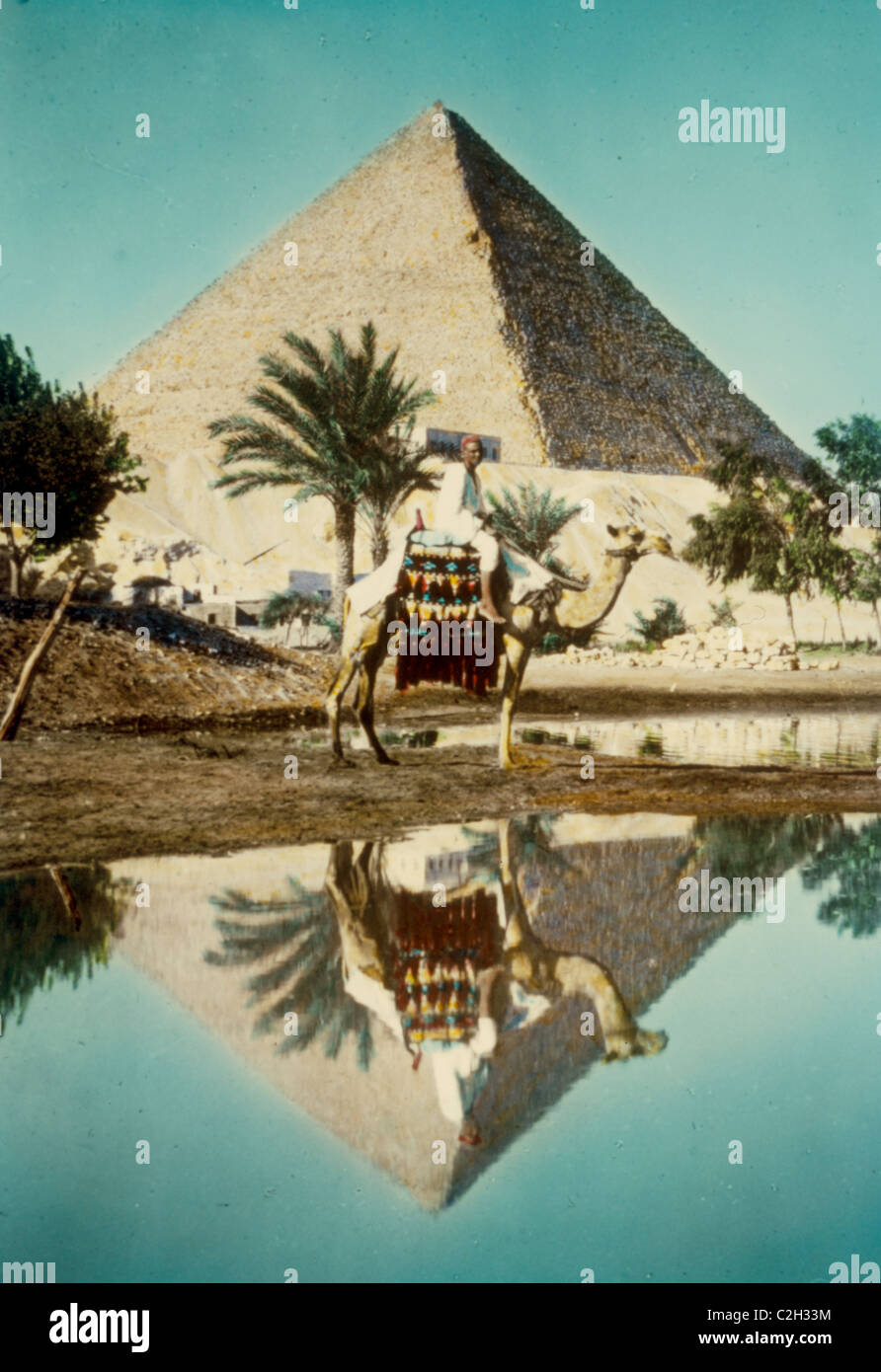 Pyramids. Pyramid & camel rider reflected in Nile overflow Stock Photo ...