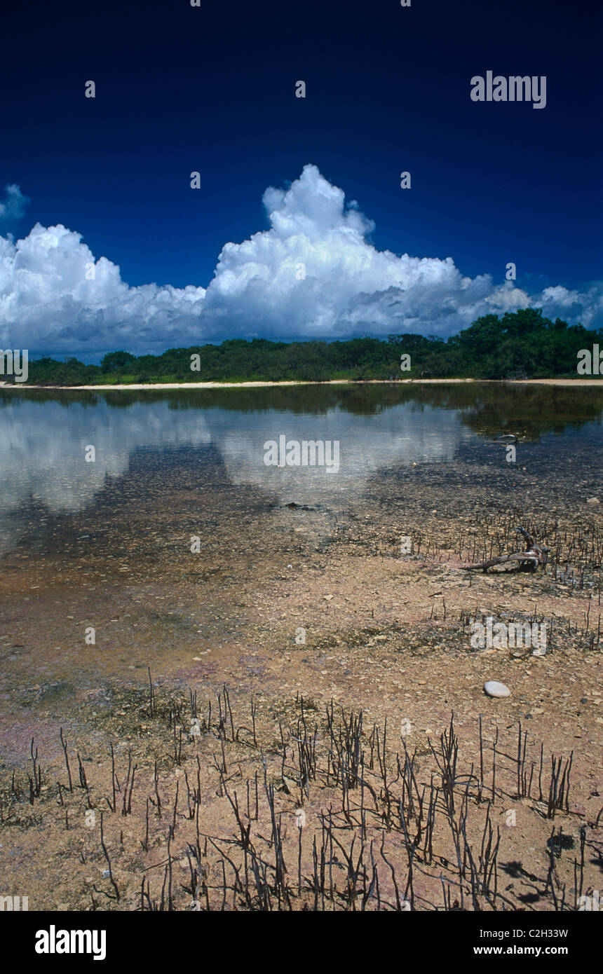 Los Roques Venezuela Stock Photo - Alamy