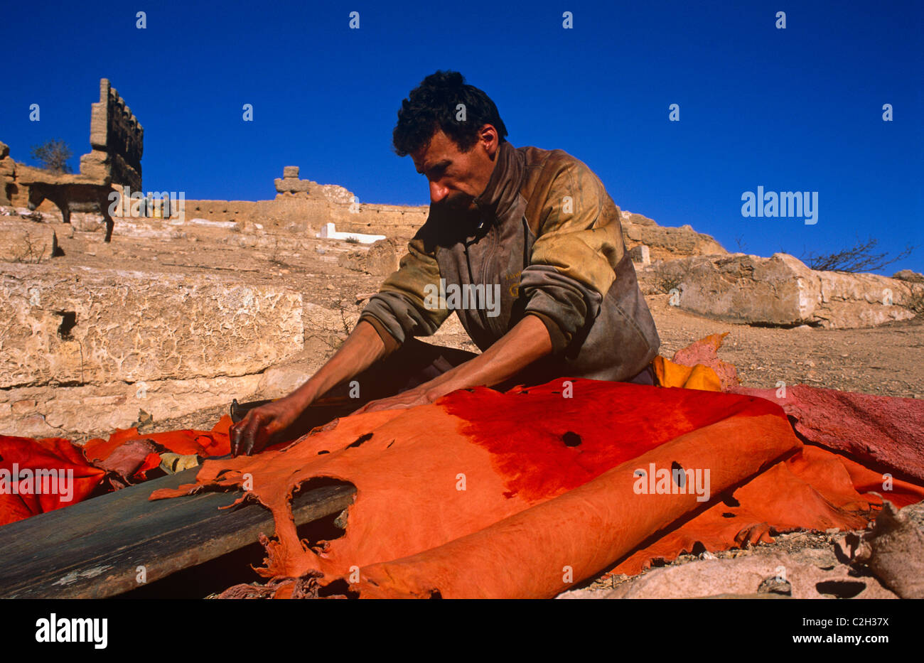 Leather curing hi-res stock photography and images - Alamy