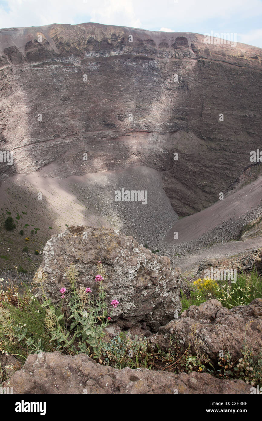 Mount Vesuvius crater, Naples, Campania, Italy Stock Photo - Alamy