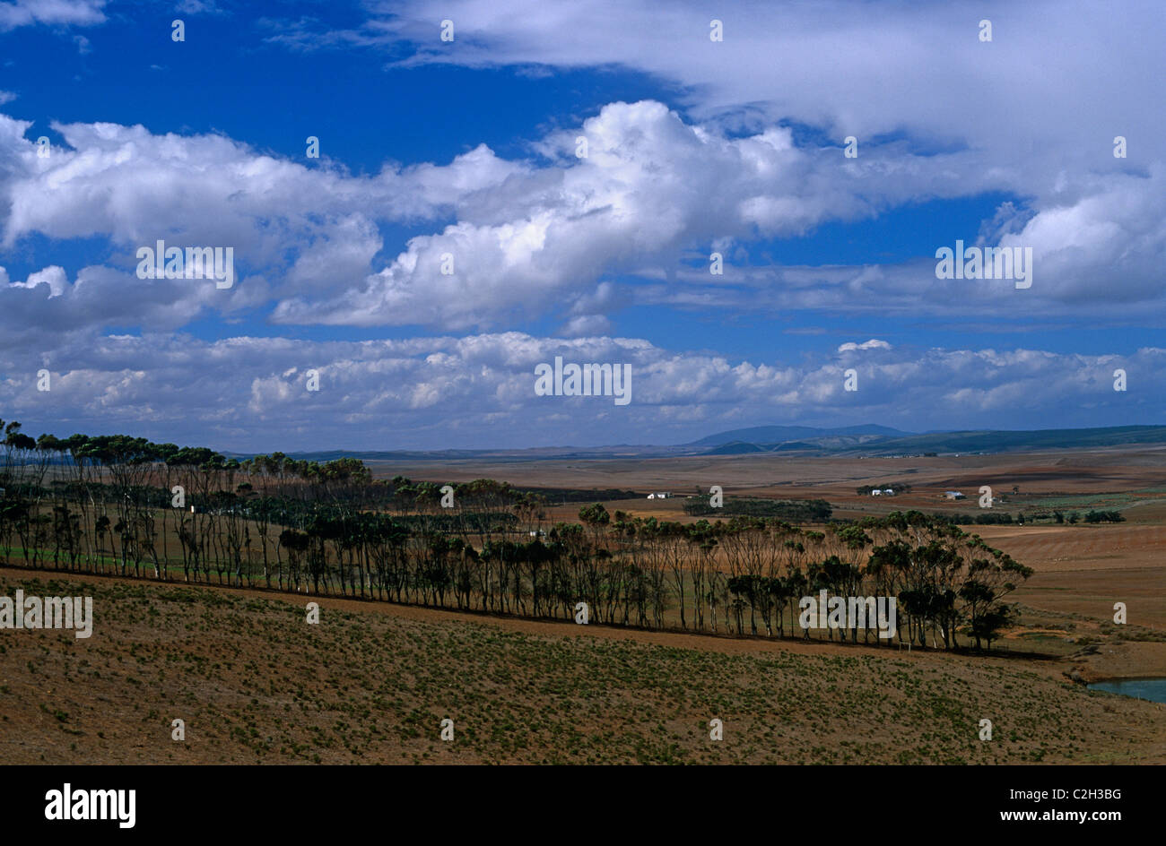 Landscape Southern Cape South Africa Stock Photo - Alamy
