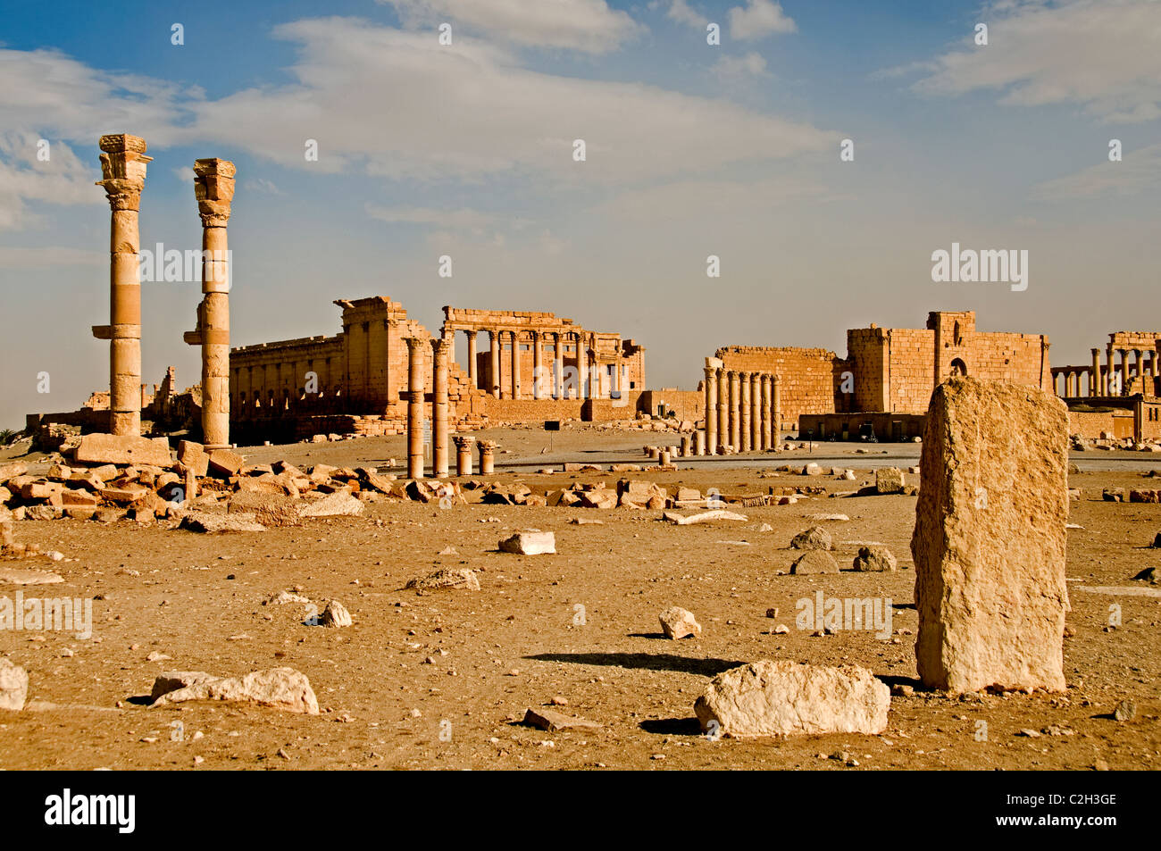 Background Temple of Bel 2 Cent Roman Palmyra Syria Syrian Museum Stock ...