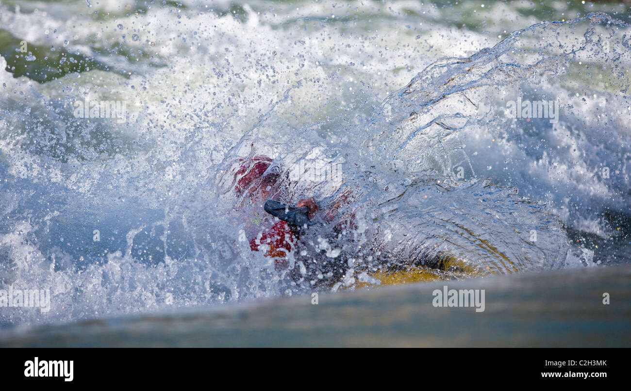 Playboating whitewater kayaker behind water wall while surfing wave ...