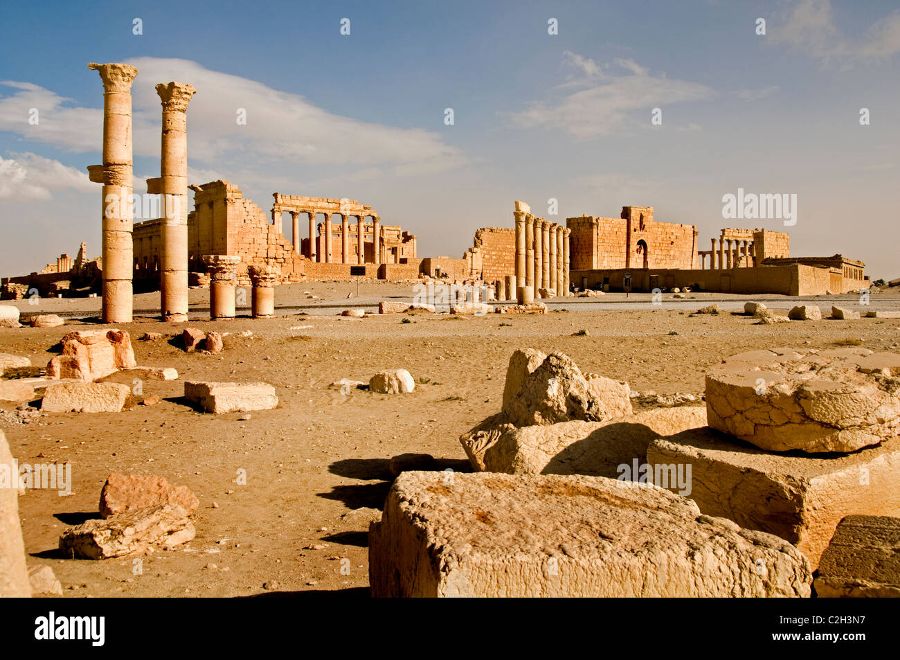 Background Temple of Bel 2 Cent Roman Palmyra Syria Syrian Museum Stock ...