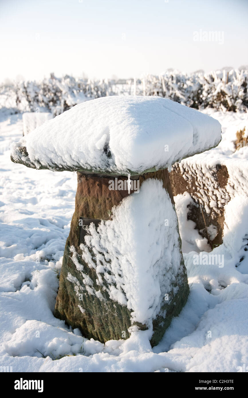 Stone Toadstool in the snow Stock Photo - Alamy