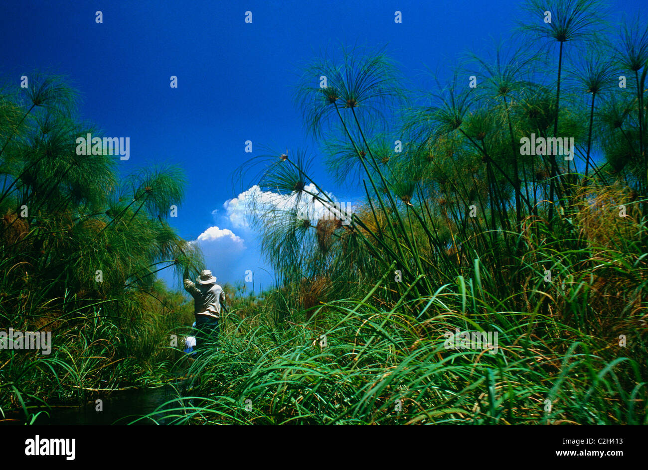 Delta Waterway Okavango Delta Botswana Stock Photo - Alamy