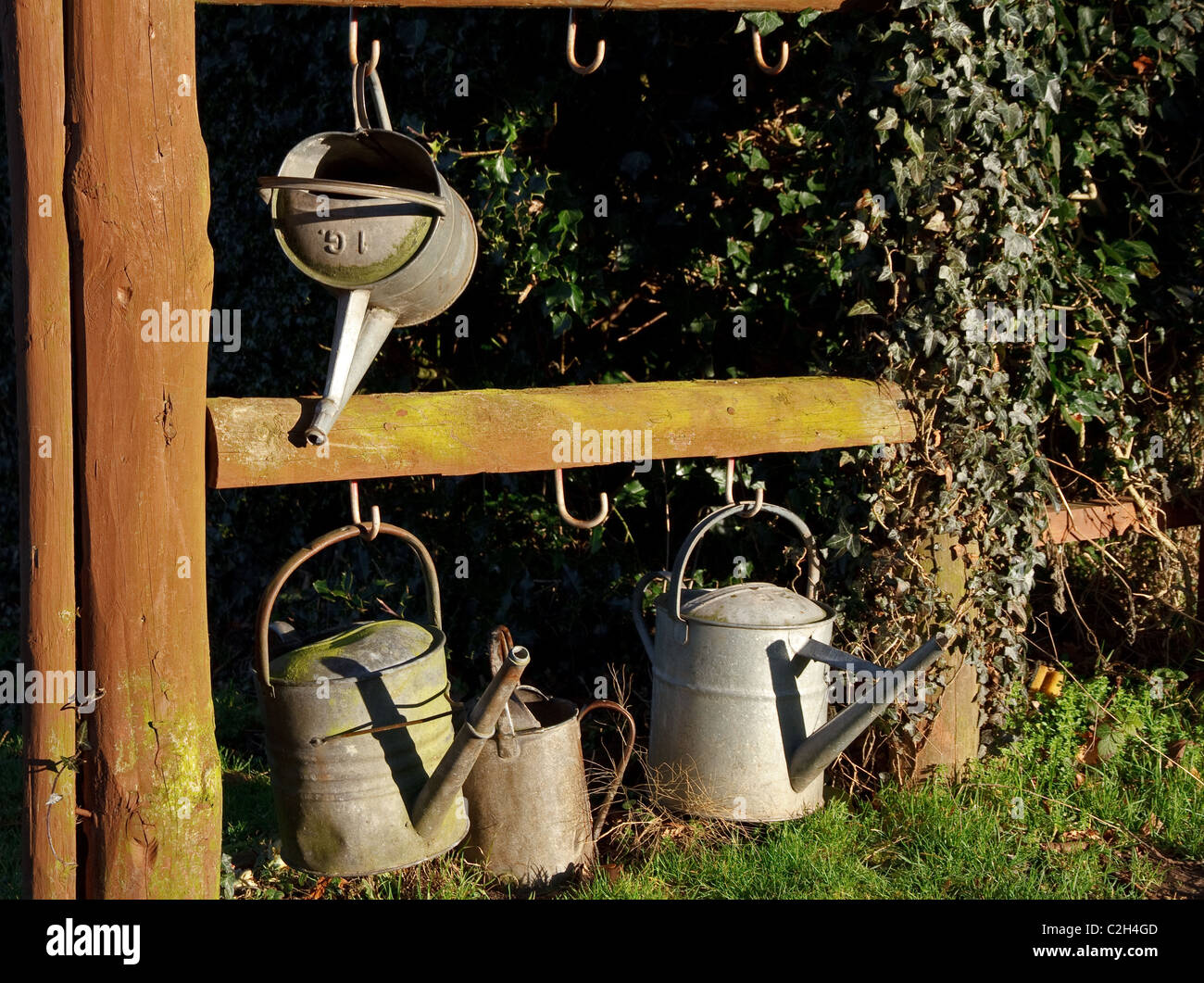 A gathering of watering cans Stock Photo - Alamy
