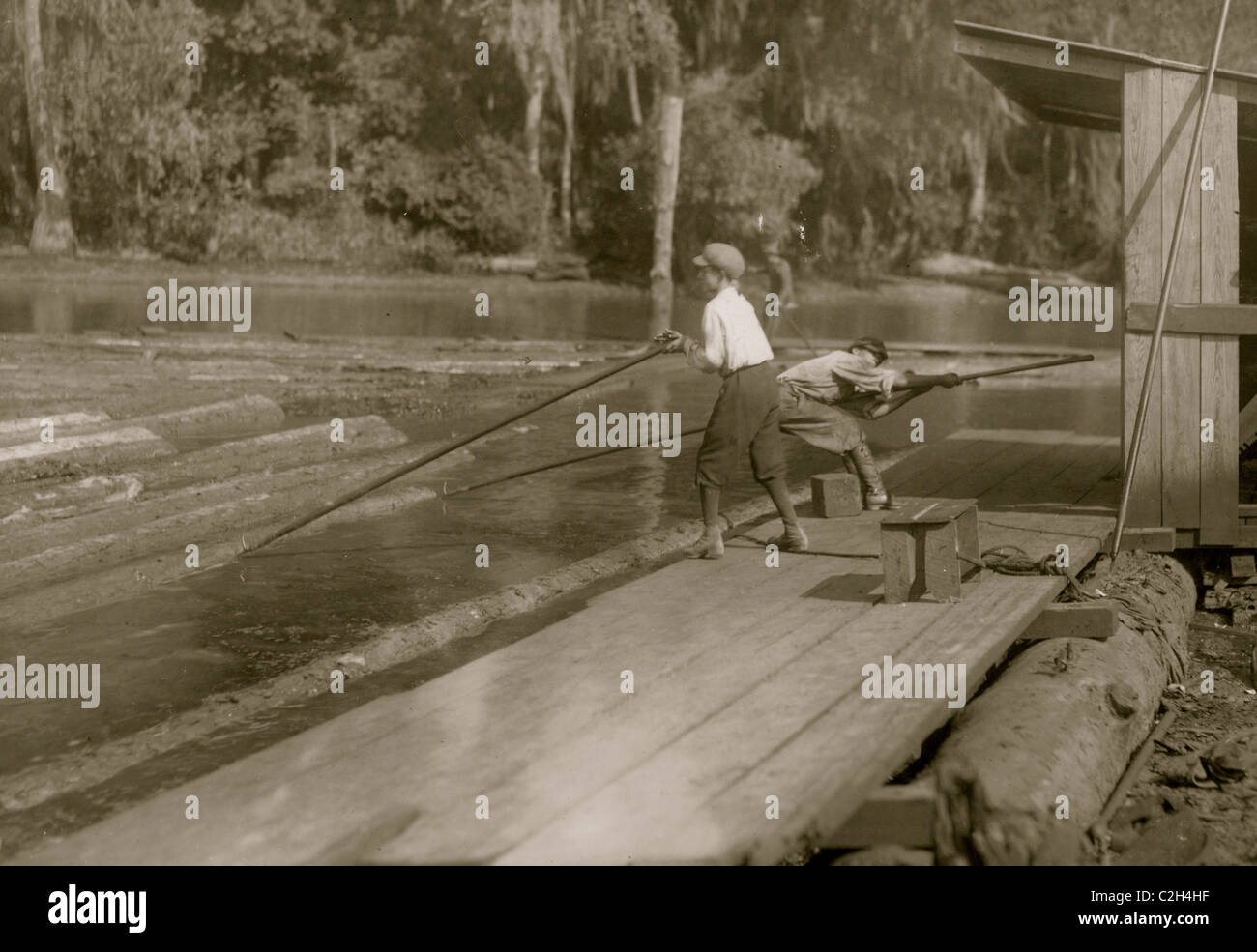 River Boys do the logging Stock Photo - Alamy