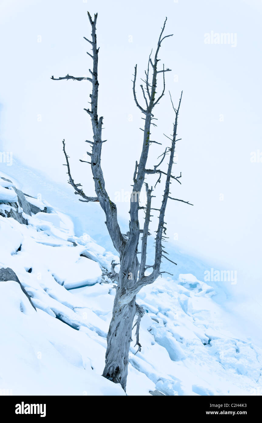 Nendaz switzerland ski hi-res stock photography and images - Alamy