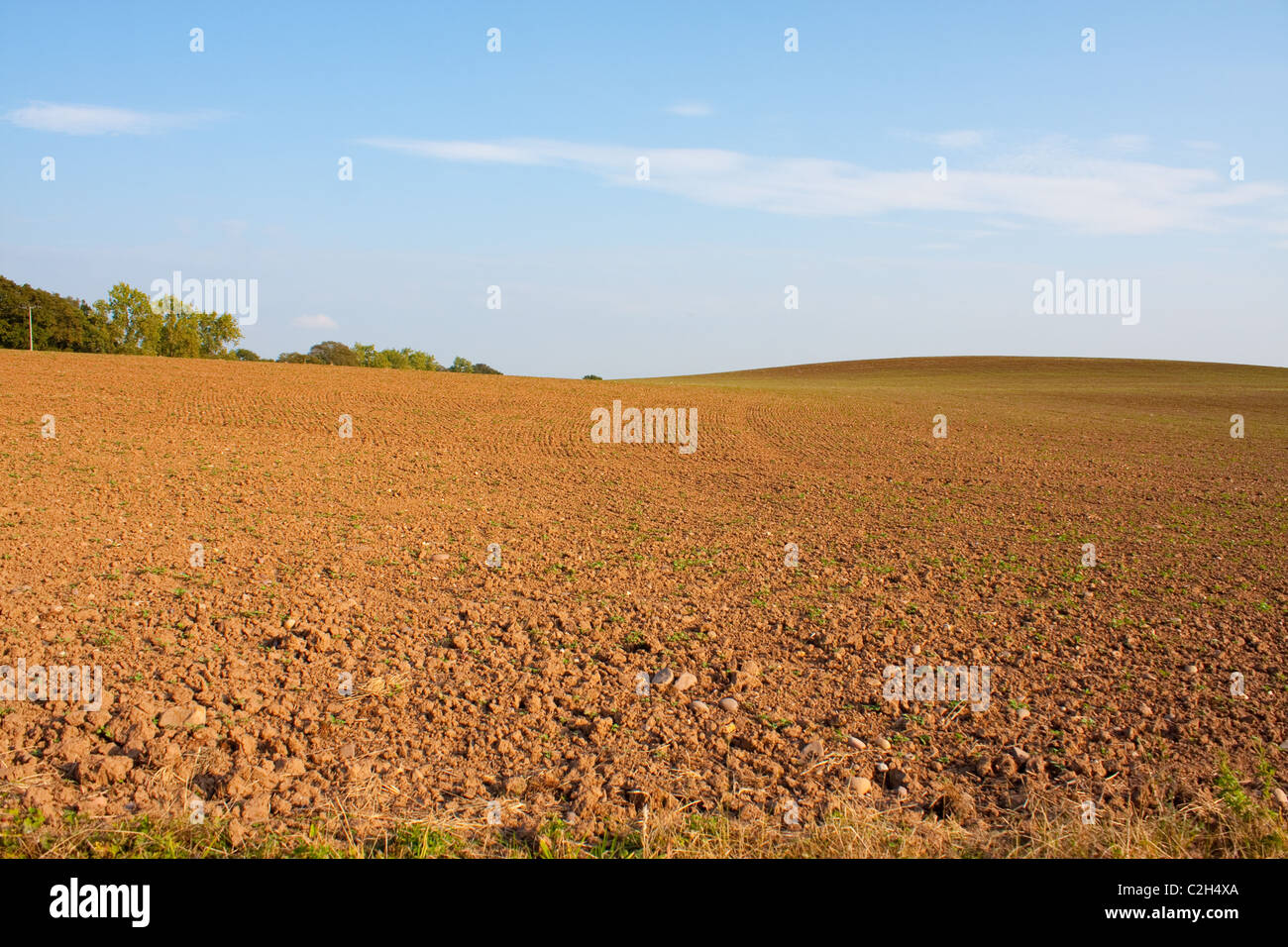 The Earth in close up Stock Photo - Alamy