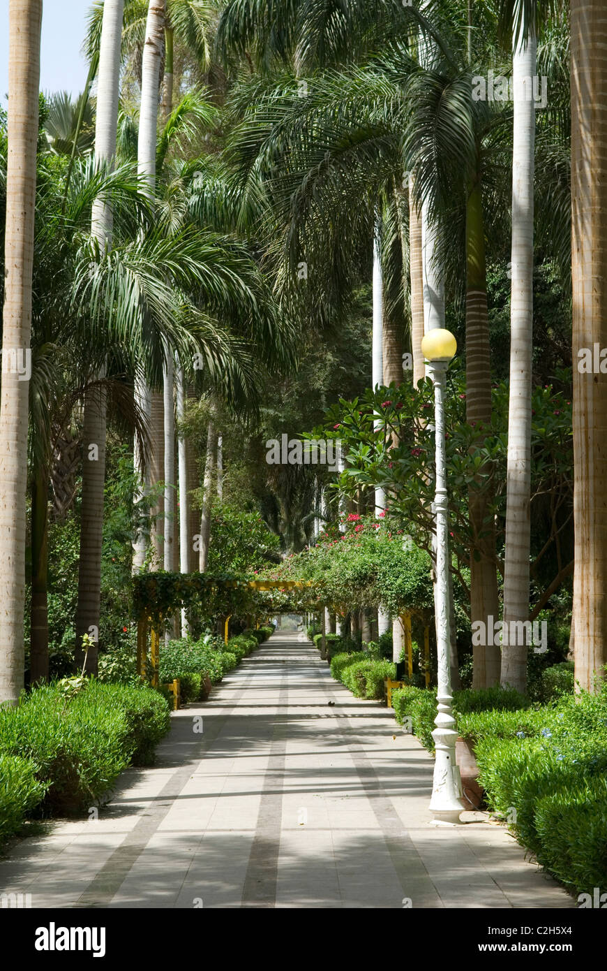 Aswan botanical garden hi-res stock photography and images - Alamy