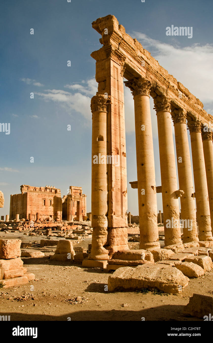 Temple of Bel 2 Cent Roman Palmyra Syria Syrian Museum Stock Photo - Alamy