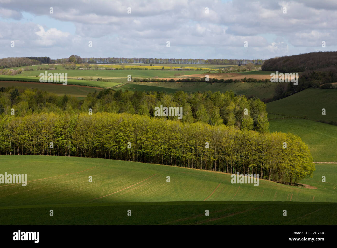 cotswolds rolling hills gloucestershire england uk Stock Photo - Alamy