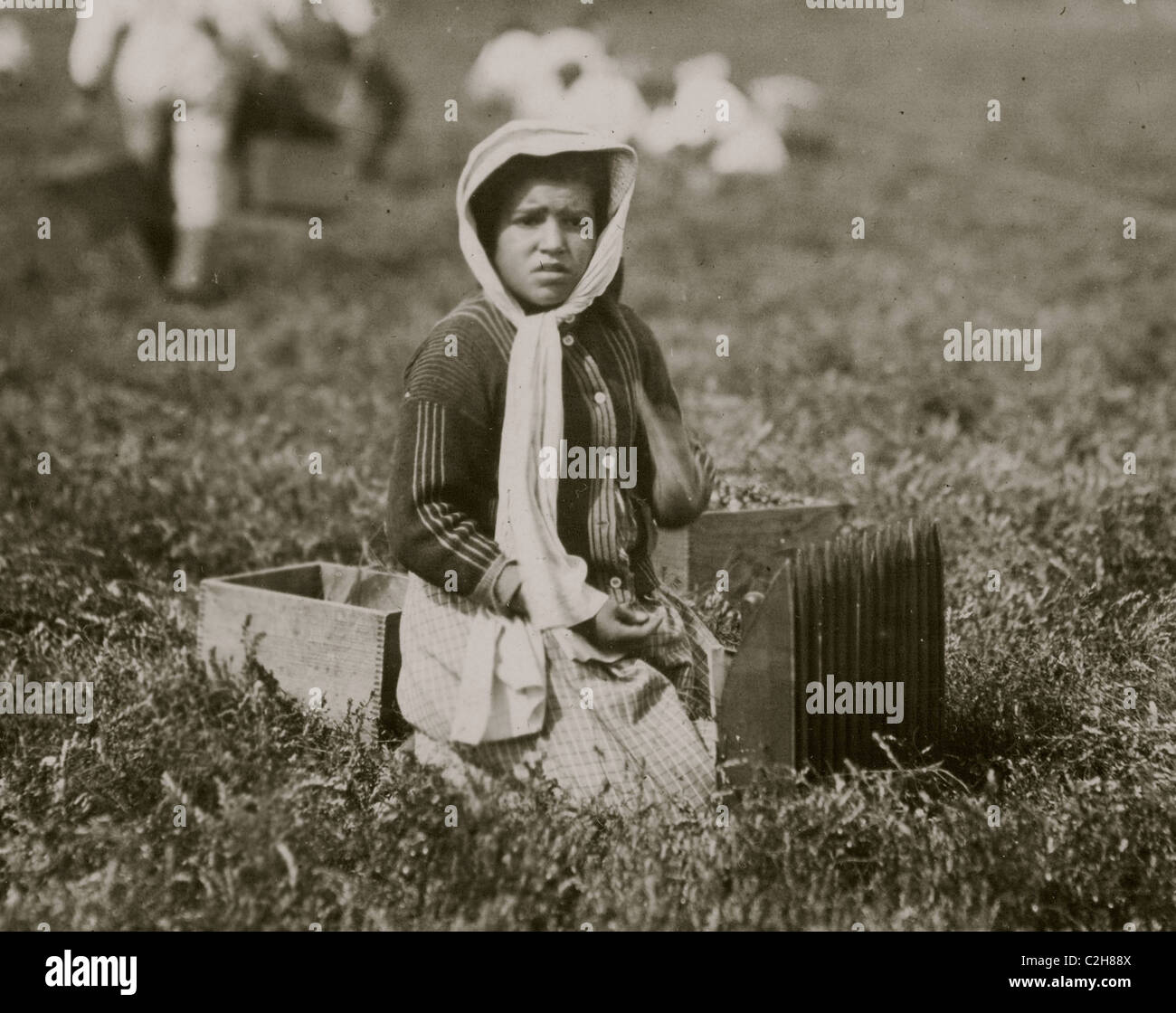 Bessie Gonsalve, Said she was 11. Picking and carrying cranberries ...