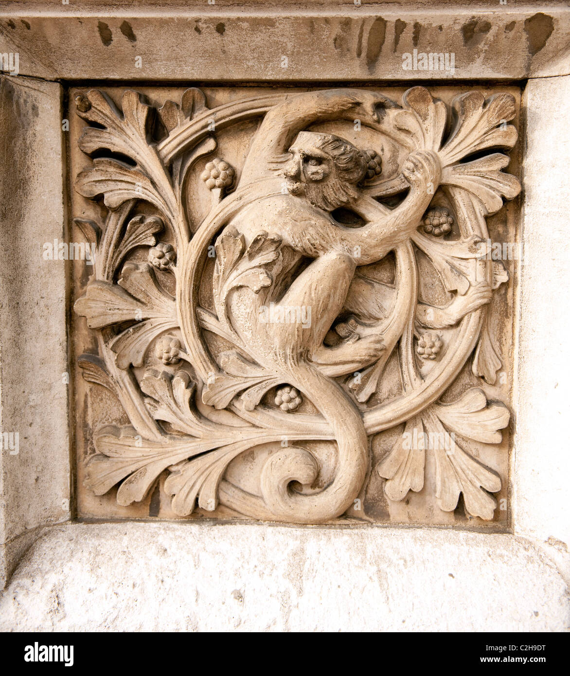 London natural history museum monkey hi-res stock photography and ...