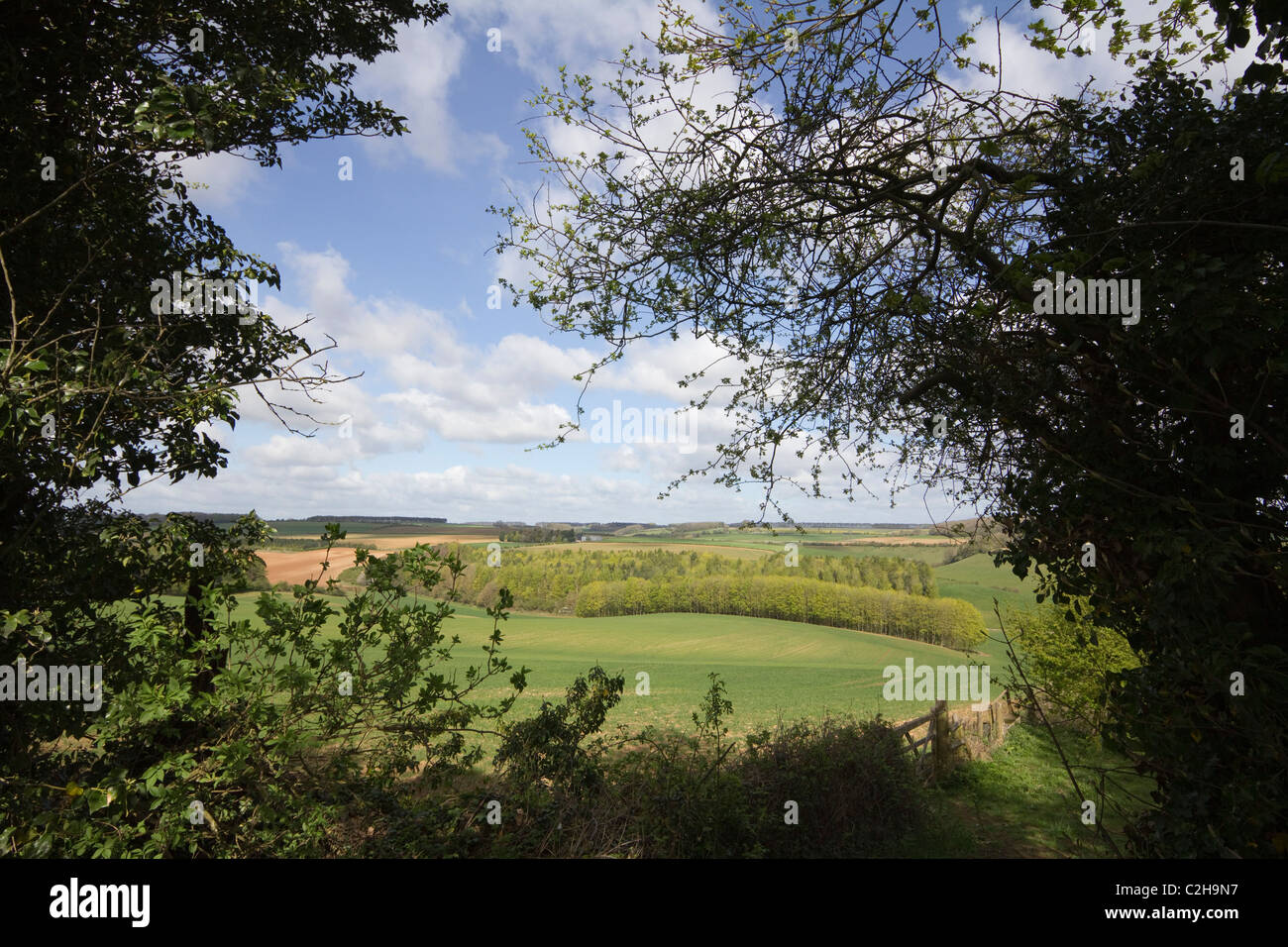 cotswolds rolling hills gloucestershire england uk Stock Photo - Alamy
