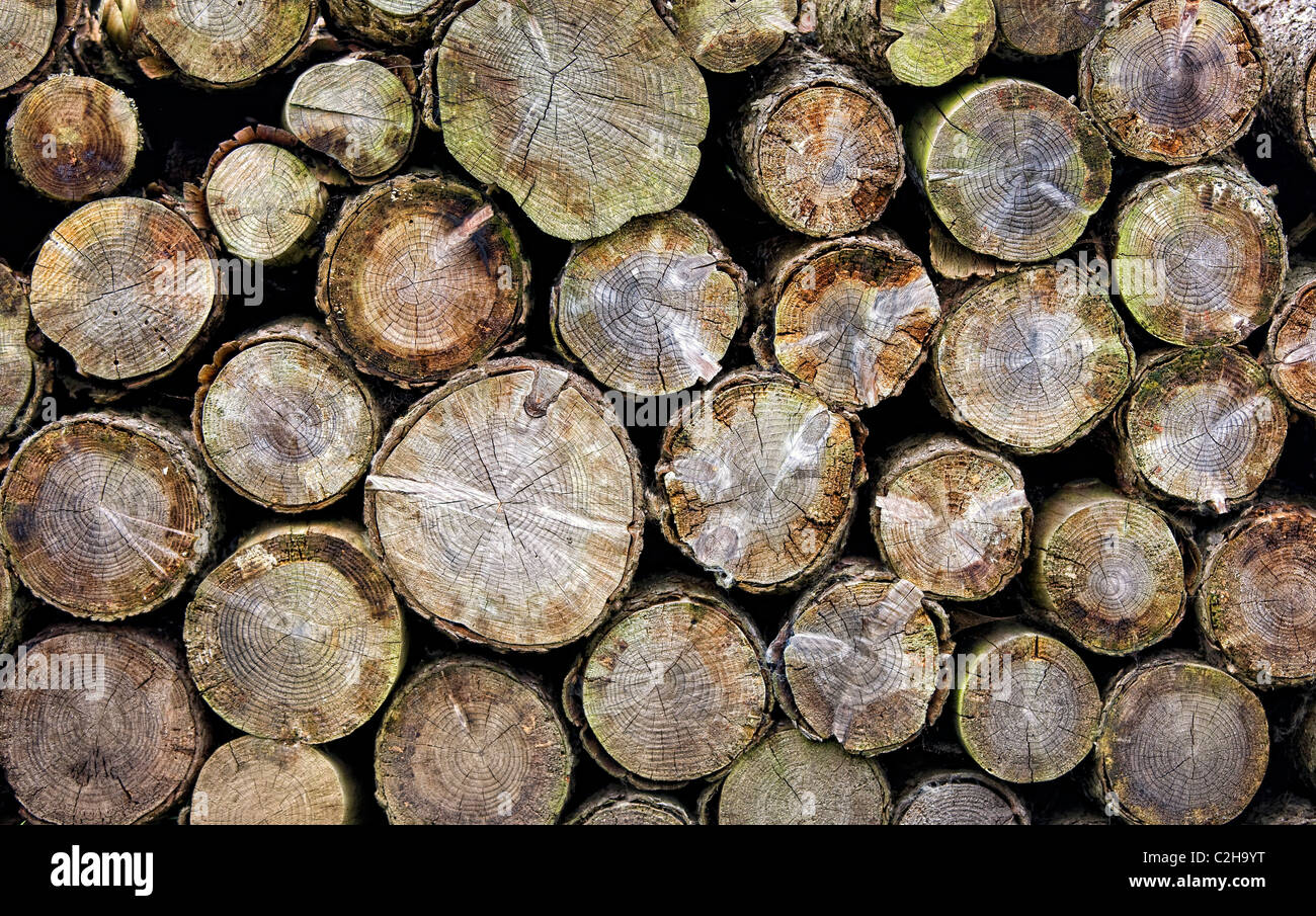 Group Of Logs Stock Photo - Alamy