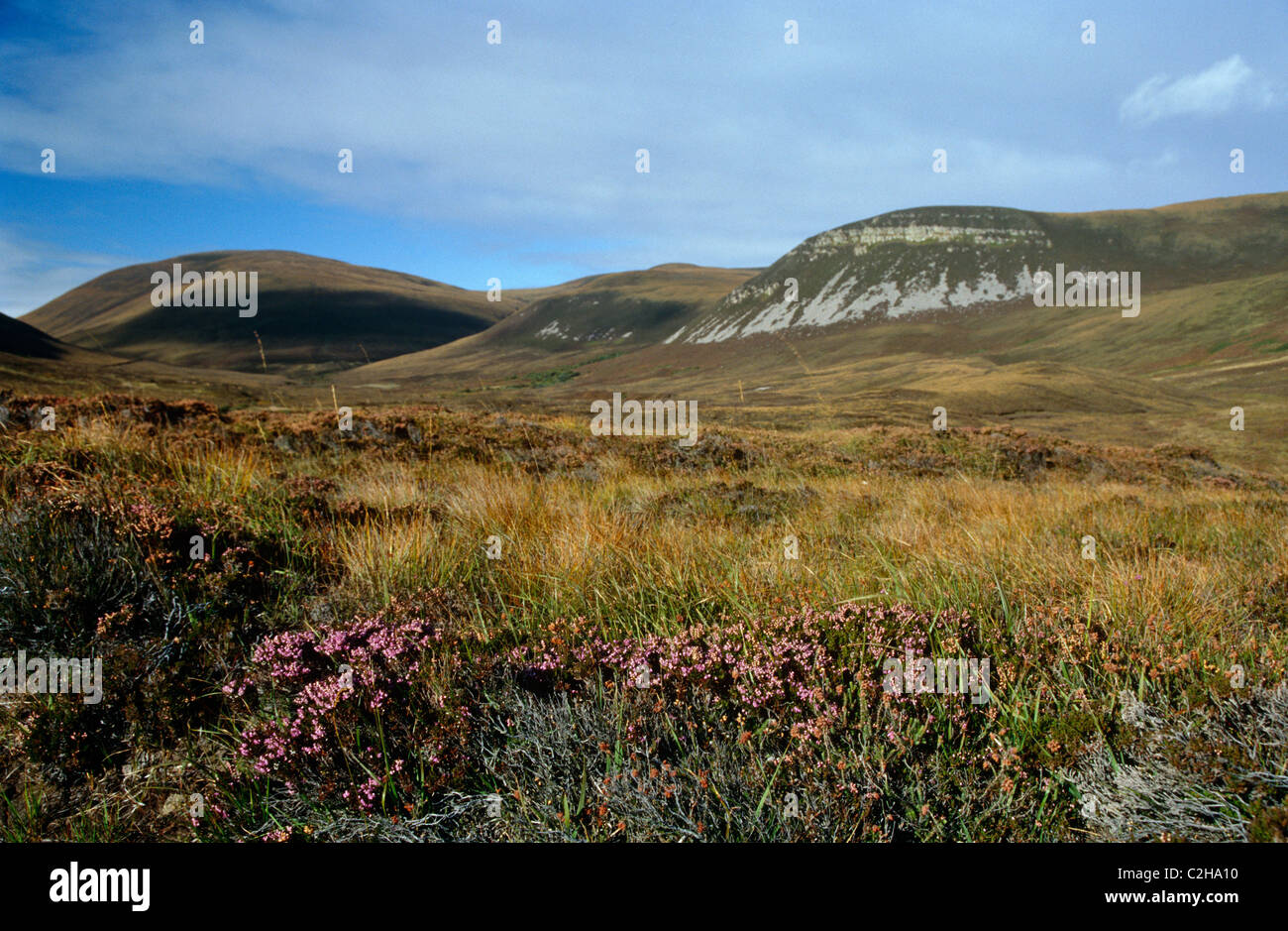 Hoy Island Orkney Islands Scotland Stock Photo - Alamy