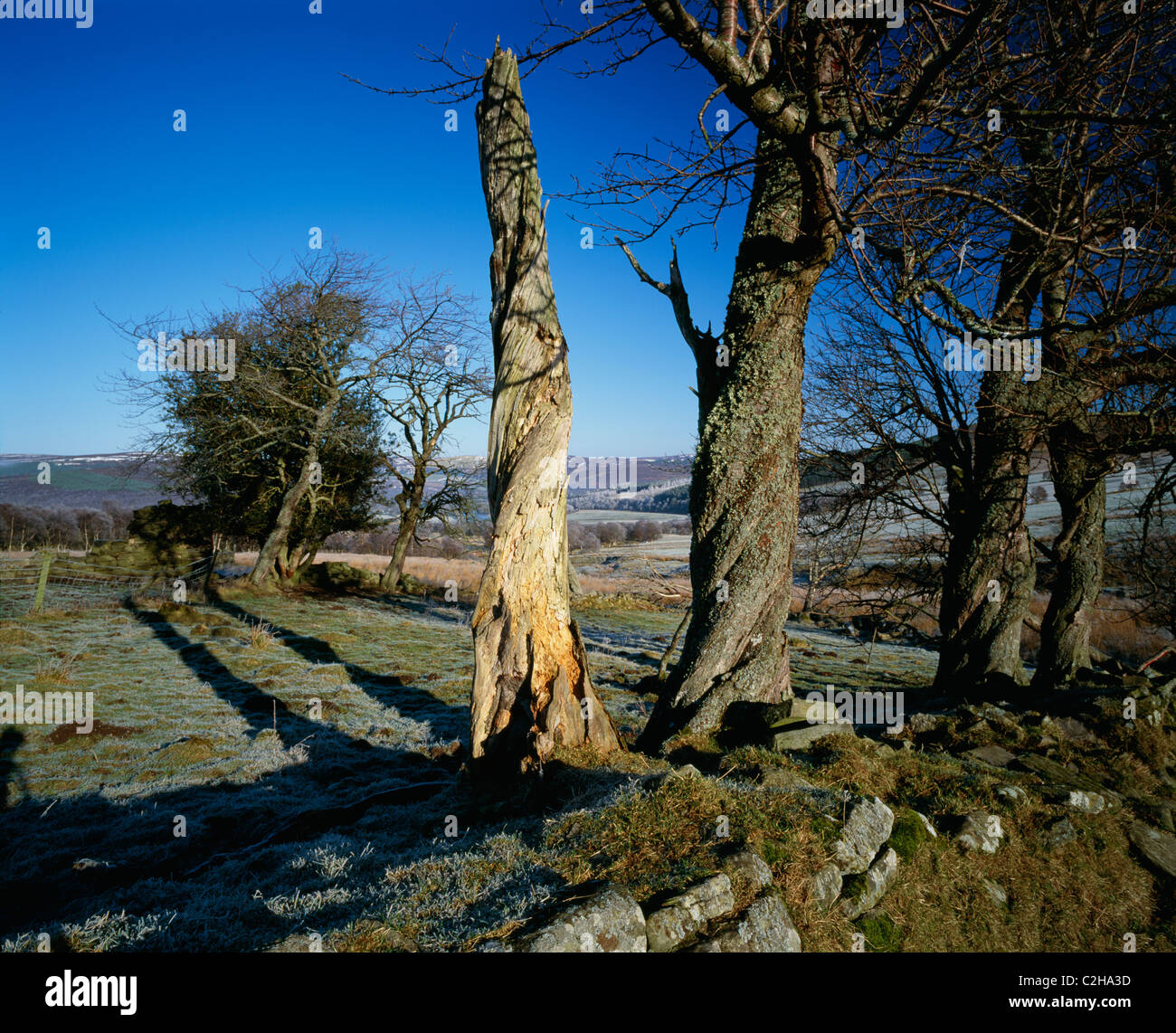 Cromdale Valley Cairngorms Scotland Stock Photo - Alamy