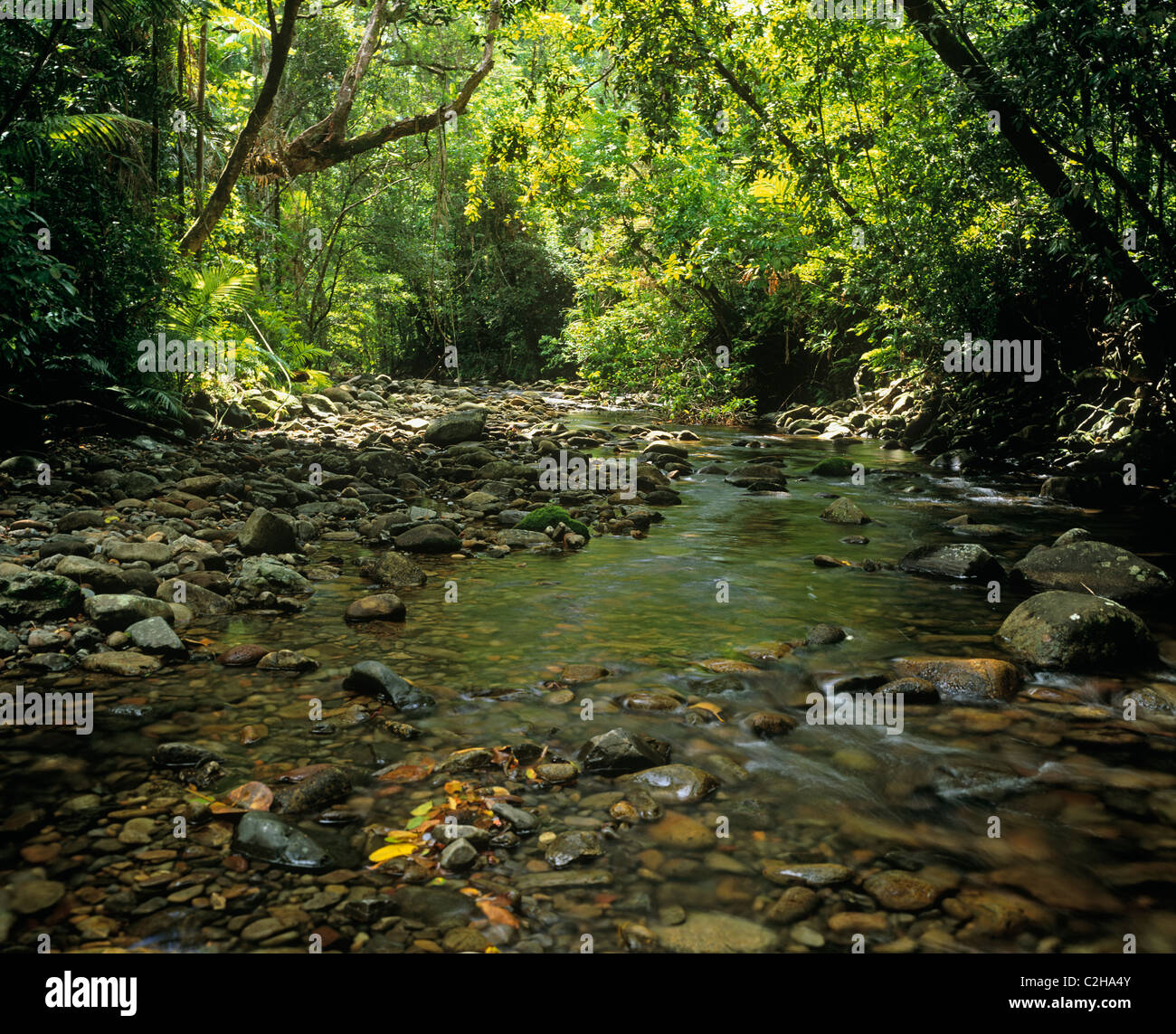 Oliver Creek Queensland Australia Stock Photo - Alamy