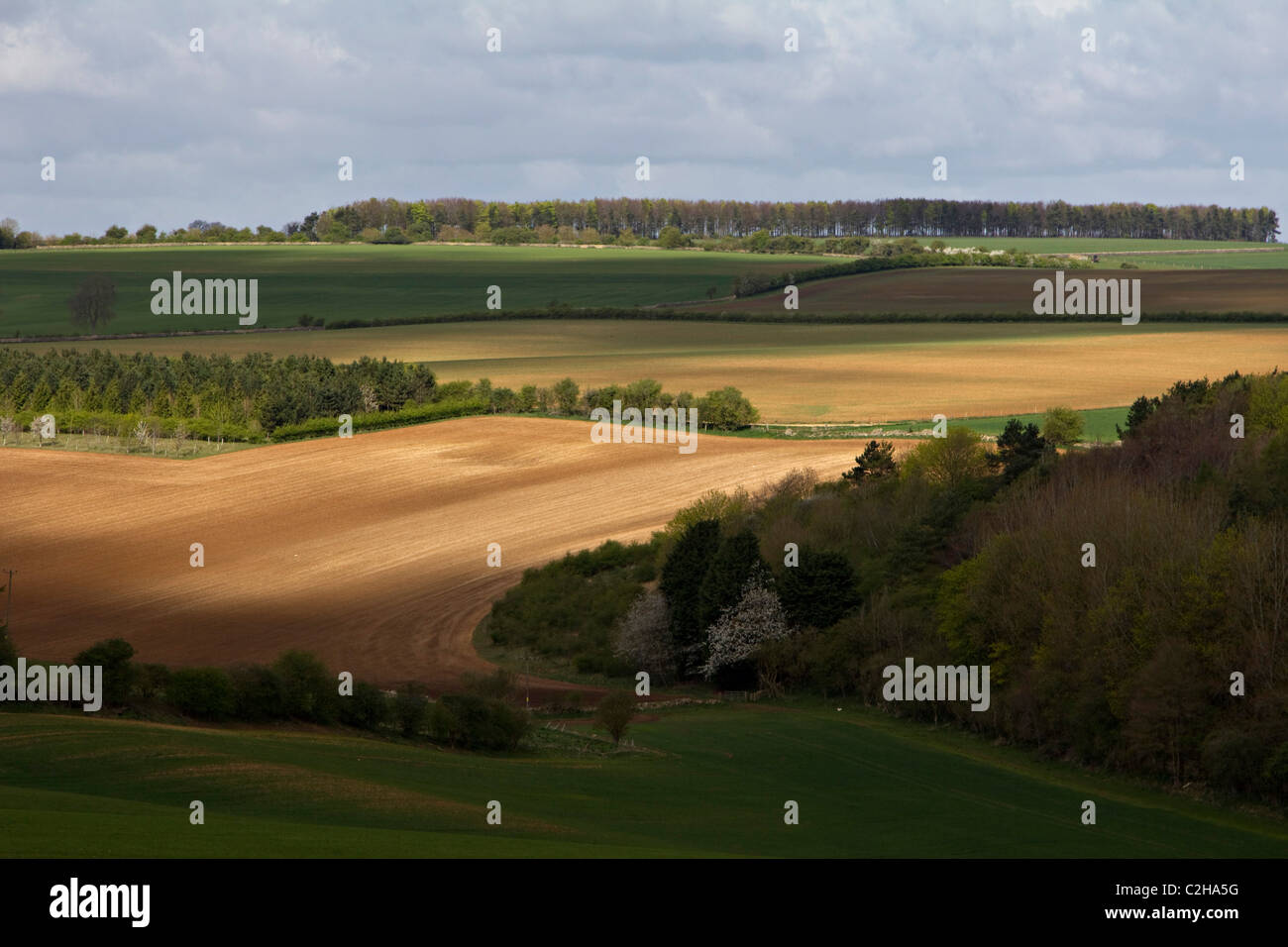 cotswolds rolling hills gloucestershire england uk Stock Photo - Alamy