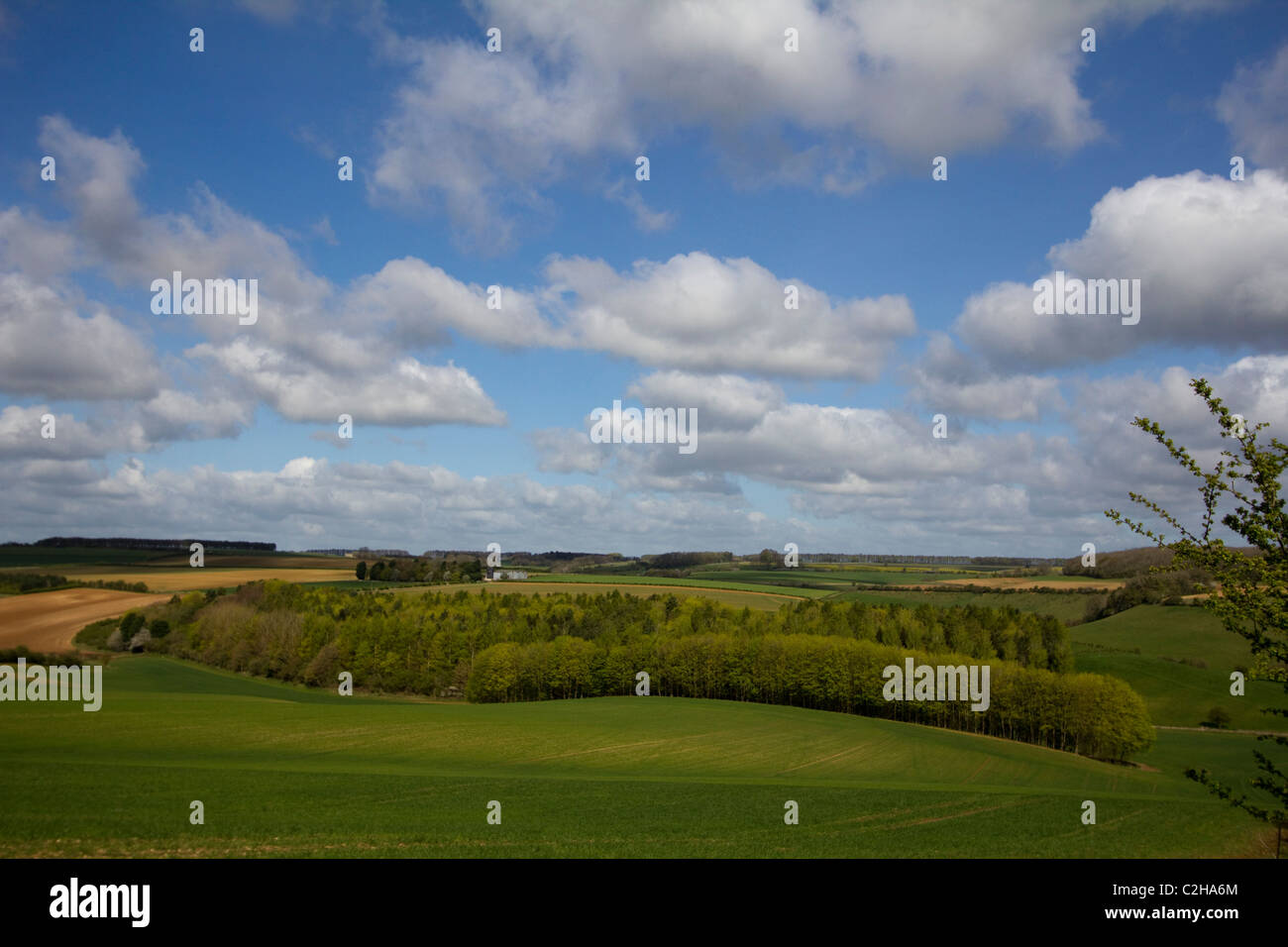 cotswolds rolling hills gloucestershire england uk Stock Photo - Alamy