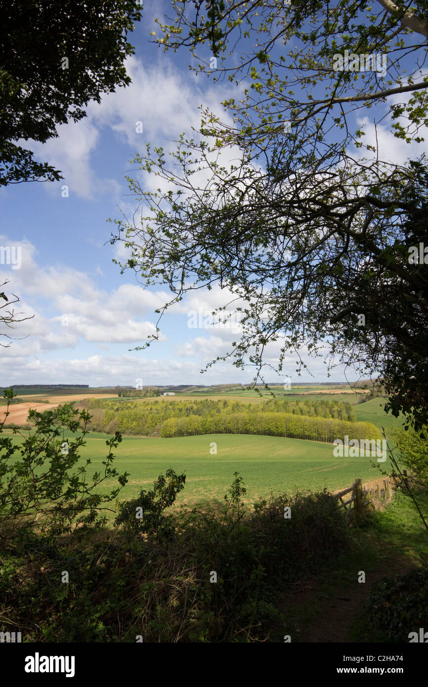cotswolds rolling hills gloucestershire england uk Stock Photo - Alamy