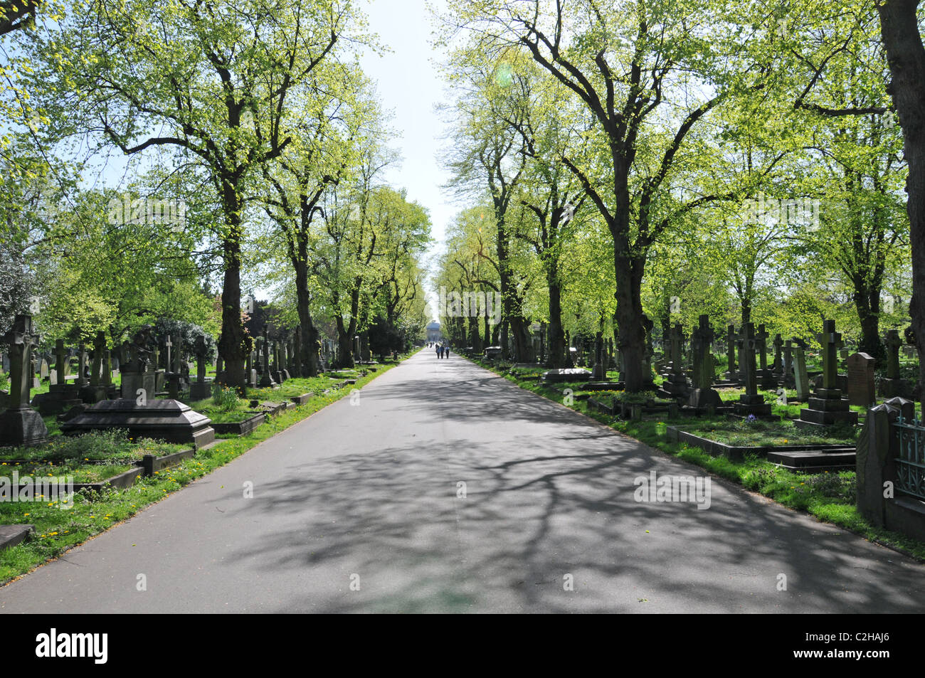 Brompton Cemetry victorian burials tomb tombs mausoleum interred dead ...