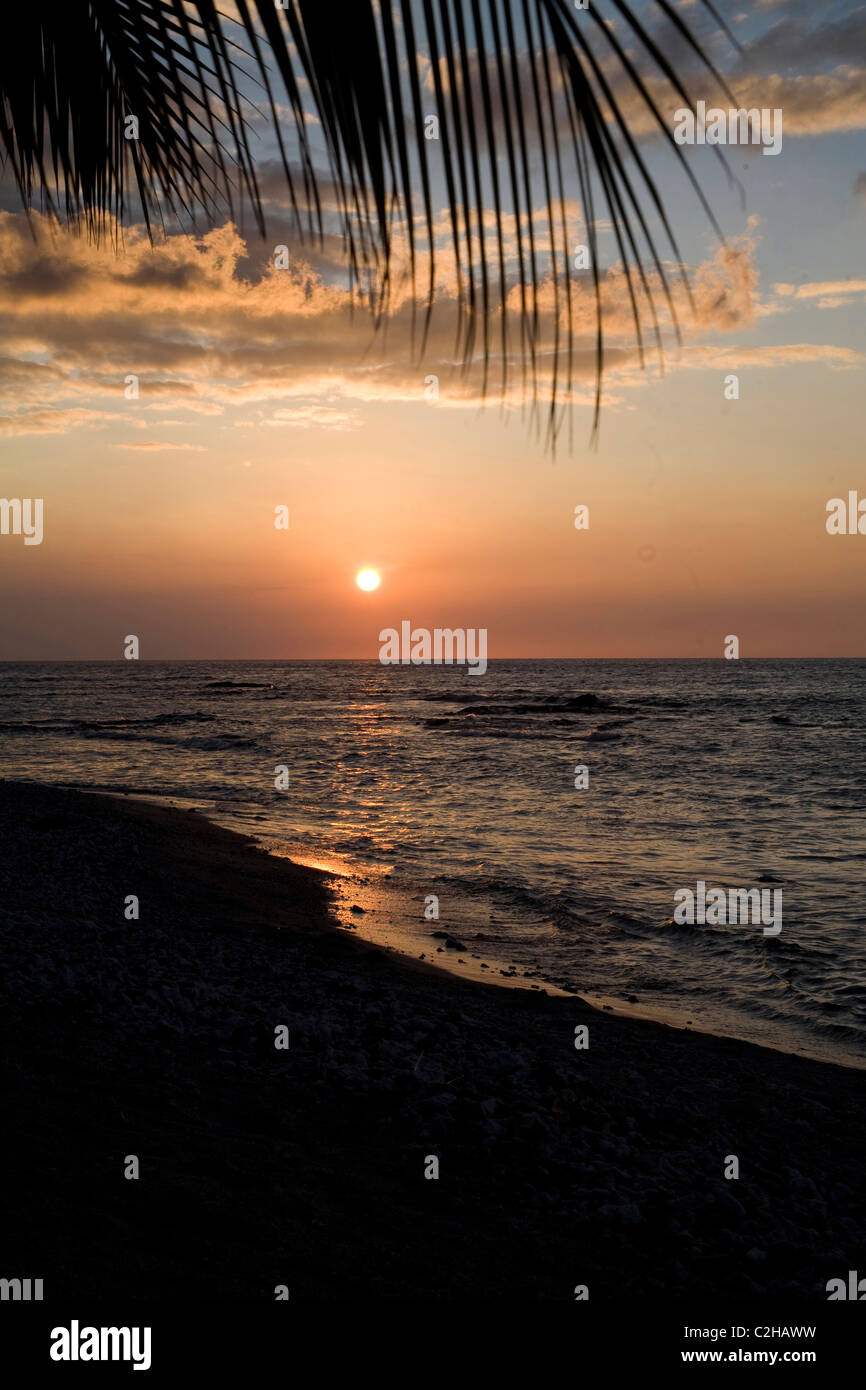 Puako hi-res stock photography and images - Alamy