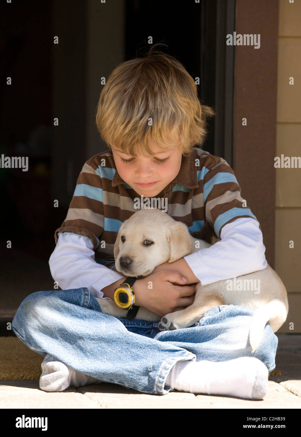 Young boy holding a Yellow Labrador puppy in his arms Stock Photo - Alamy