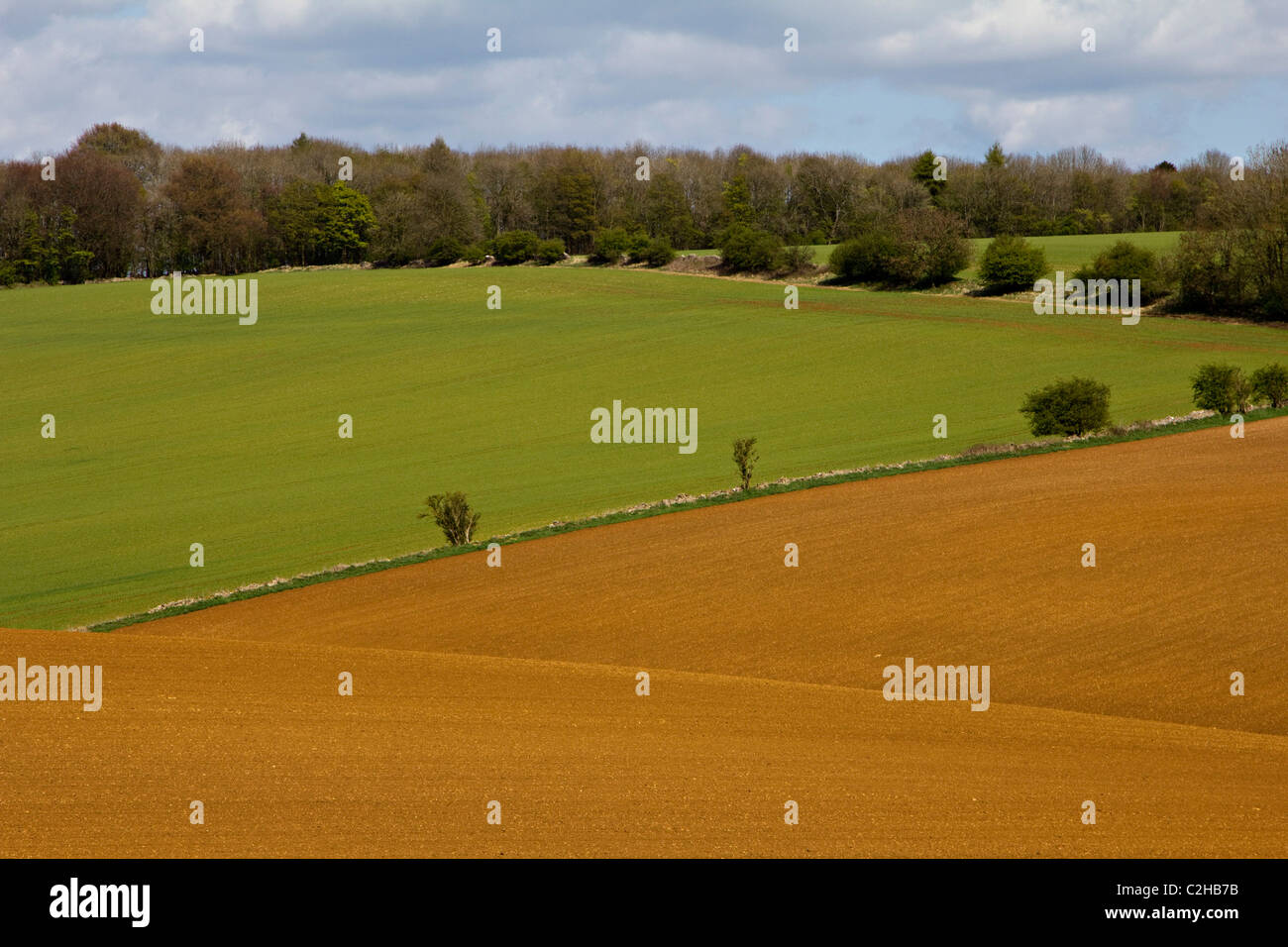 cotswolds rolling hills gloucestershire england uk Stock Photo - Alamy