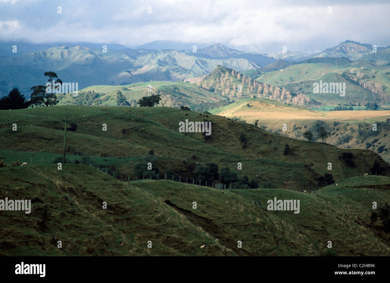 Landscape North Island New Zealand Stock Photo - Alamy