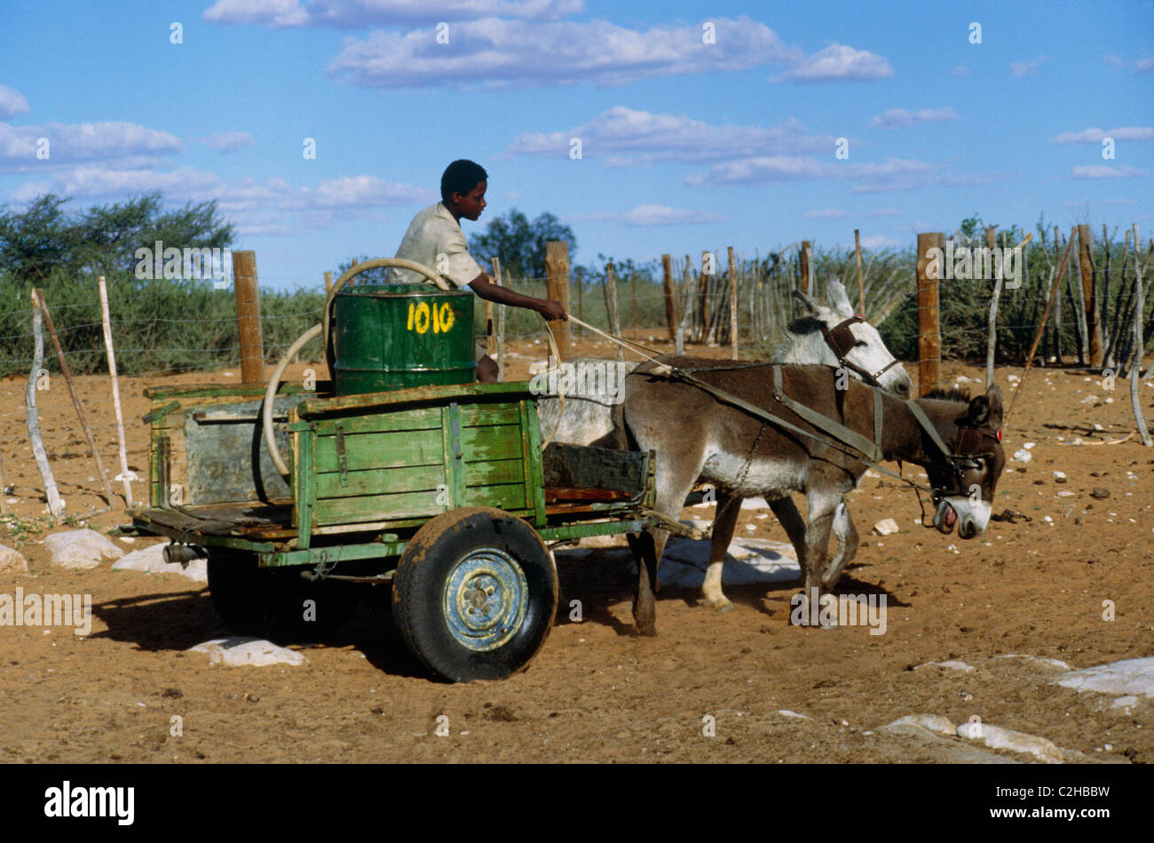 Donkey Cart Hereroland Namibia Stock Photo - Alamy