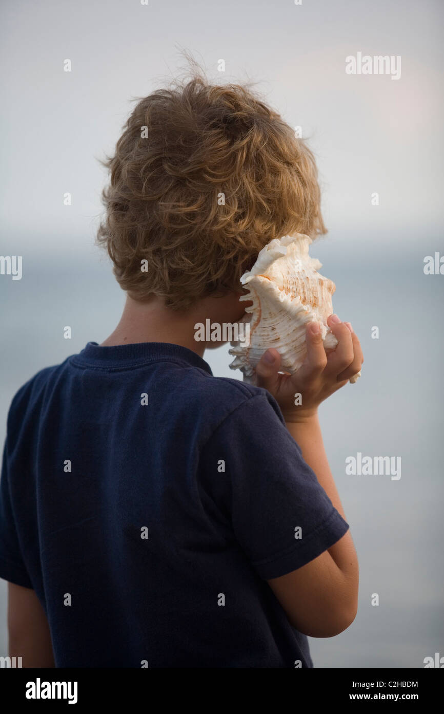 Ear Shell Stock Photos & Ear Shell Stock Images - Alamy