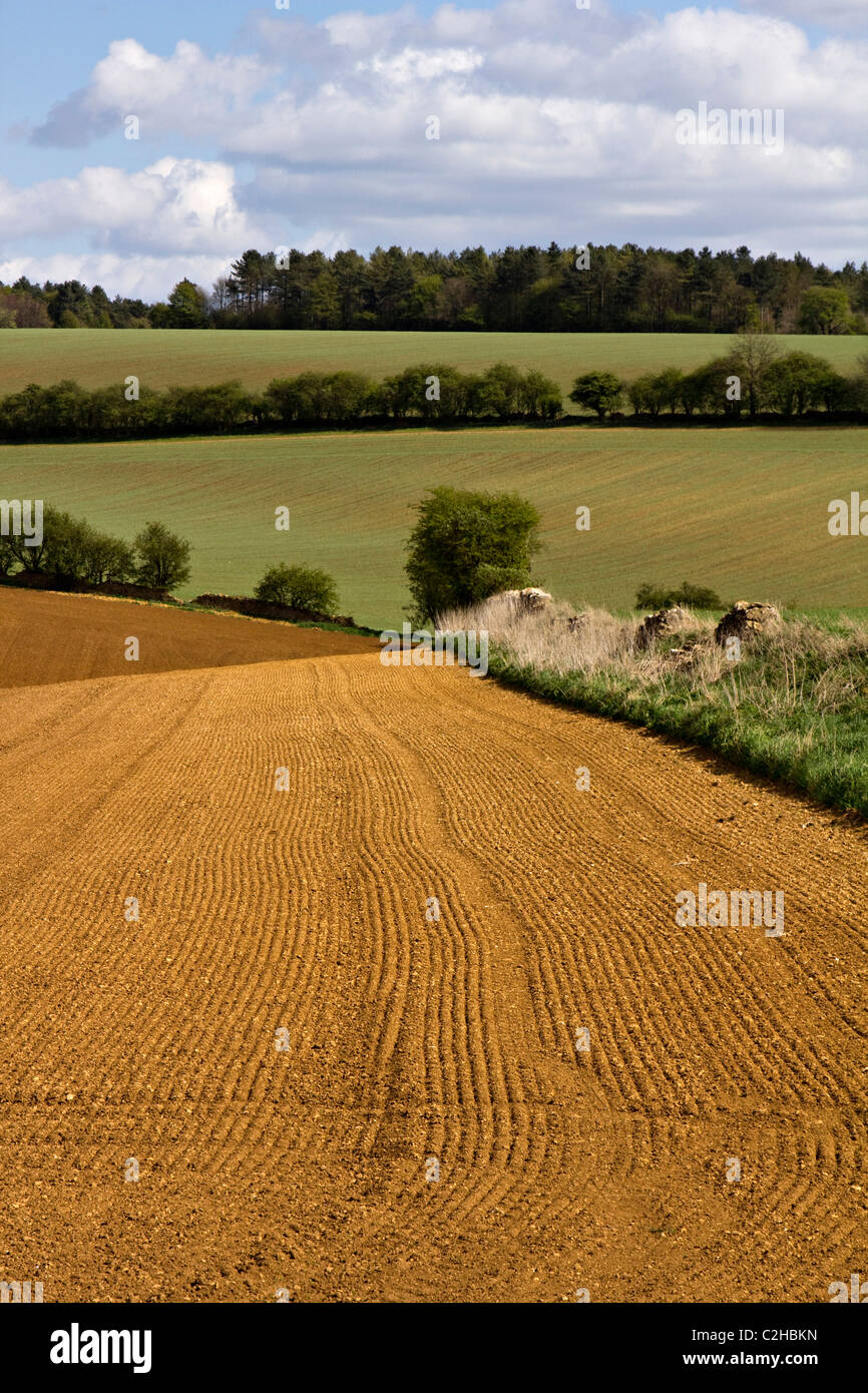 cotswolds rolling hills gloucestershire england uk Stock Photo - Alamy