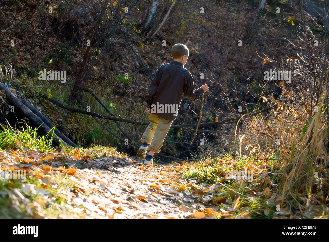 Oblique rear view hi-res stock photography and images - Alamy