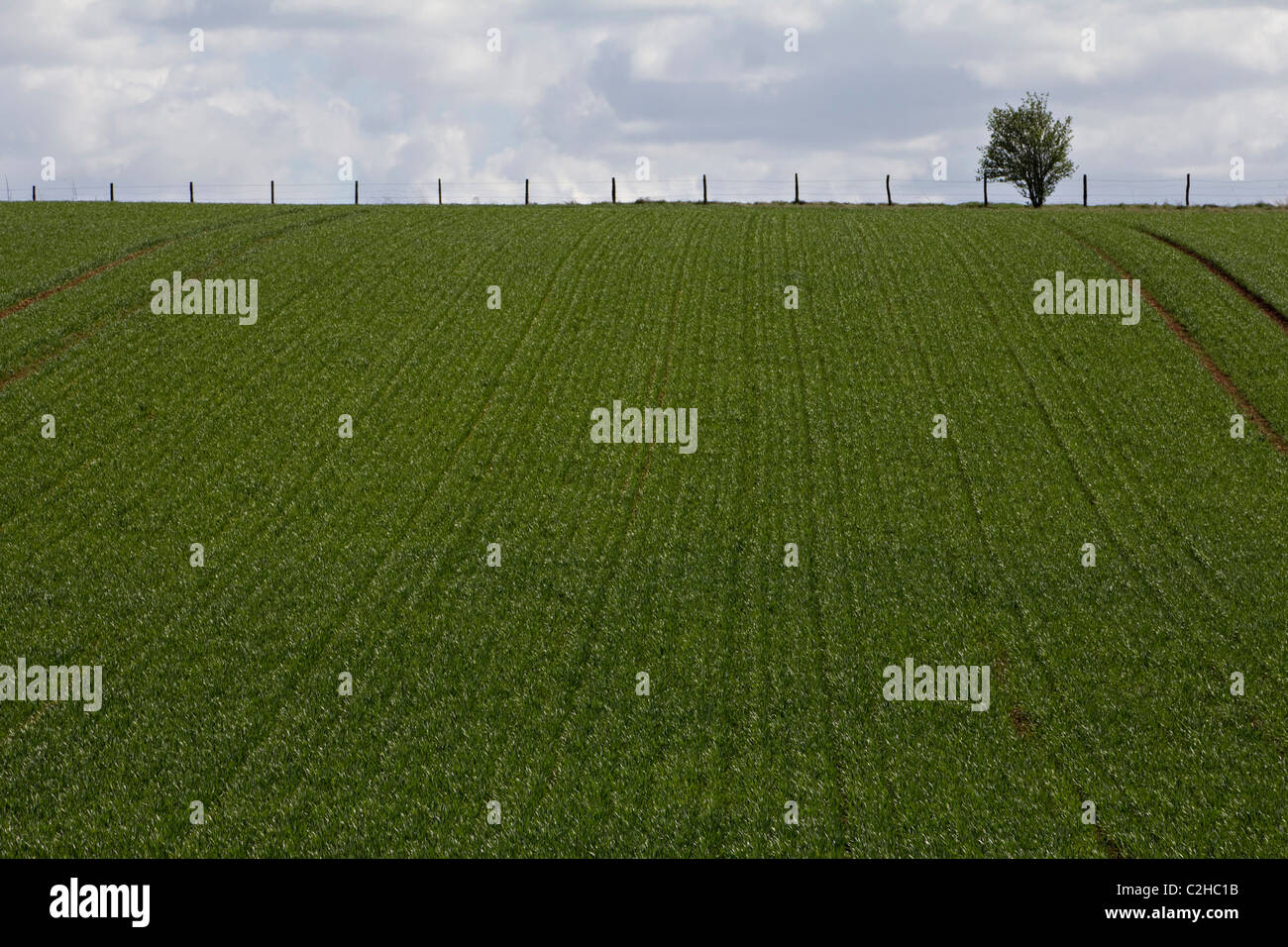 cotswolds rolling hills gloucestershire england uk Stock Photo - Alamy