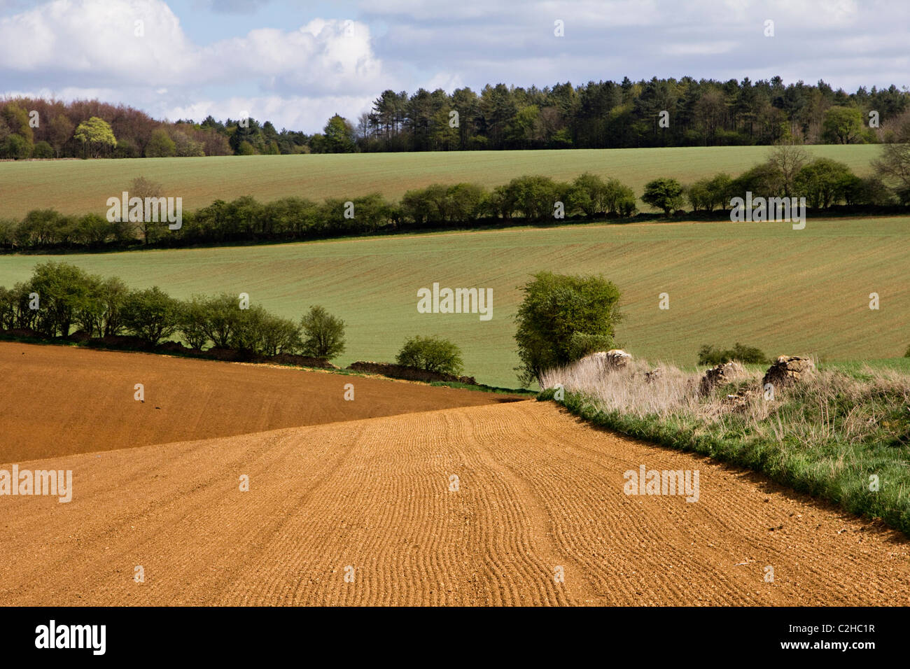 cotswolds rolling hills gloucestershire england uk Stock Photo - Alamy