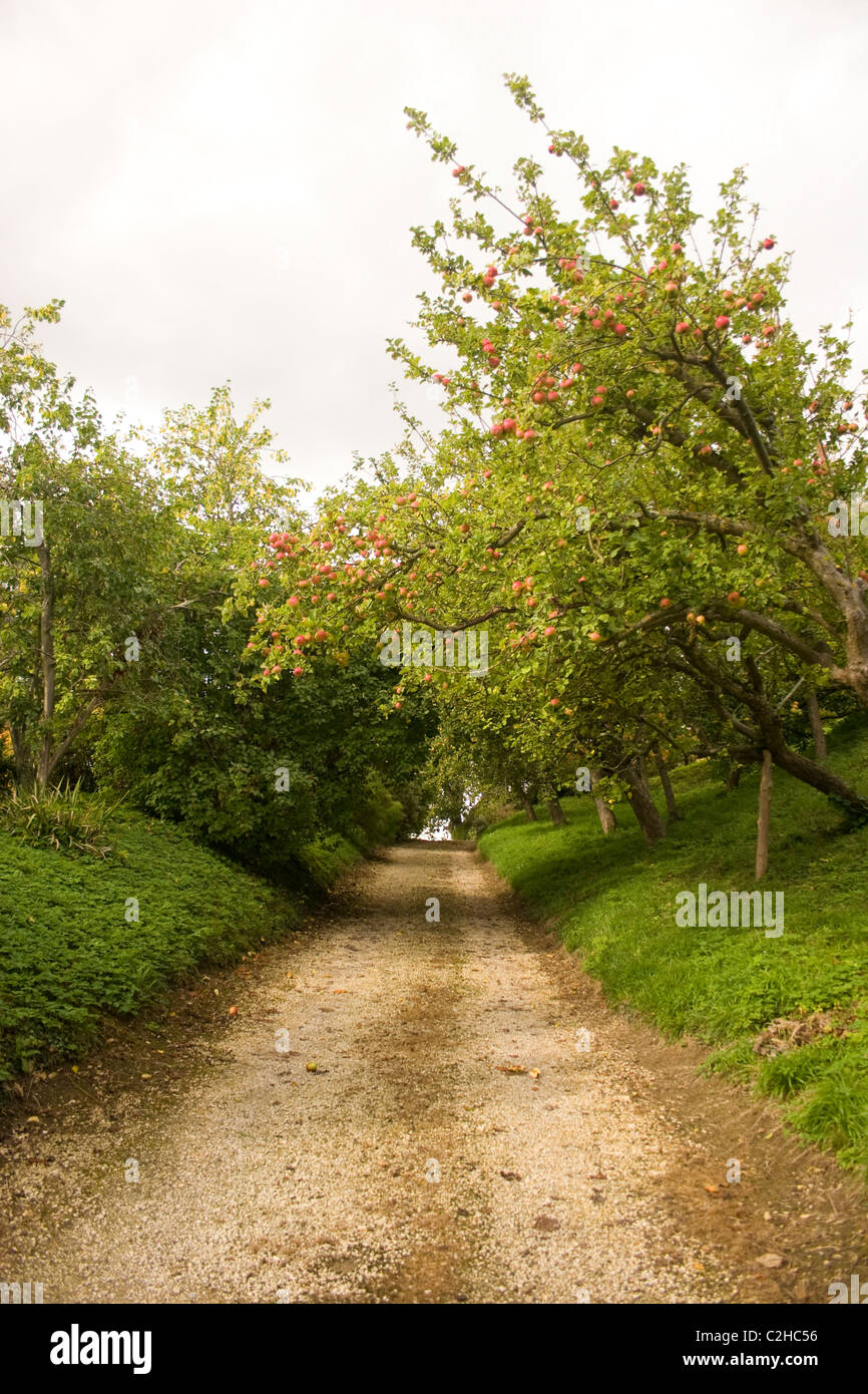 Grove centre hi-res stock photography and images - Alamy