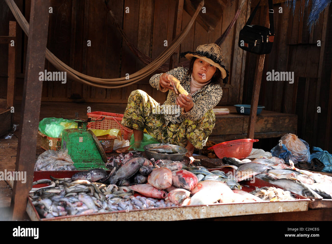Woman vendor selling fish hi-res stock photography and images - Alamy