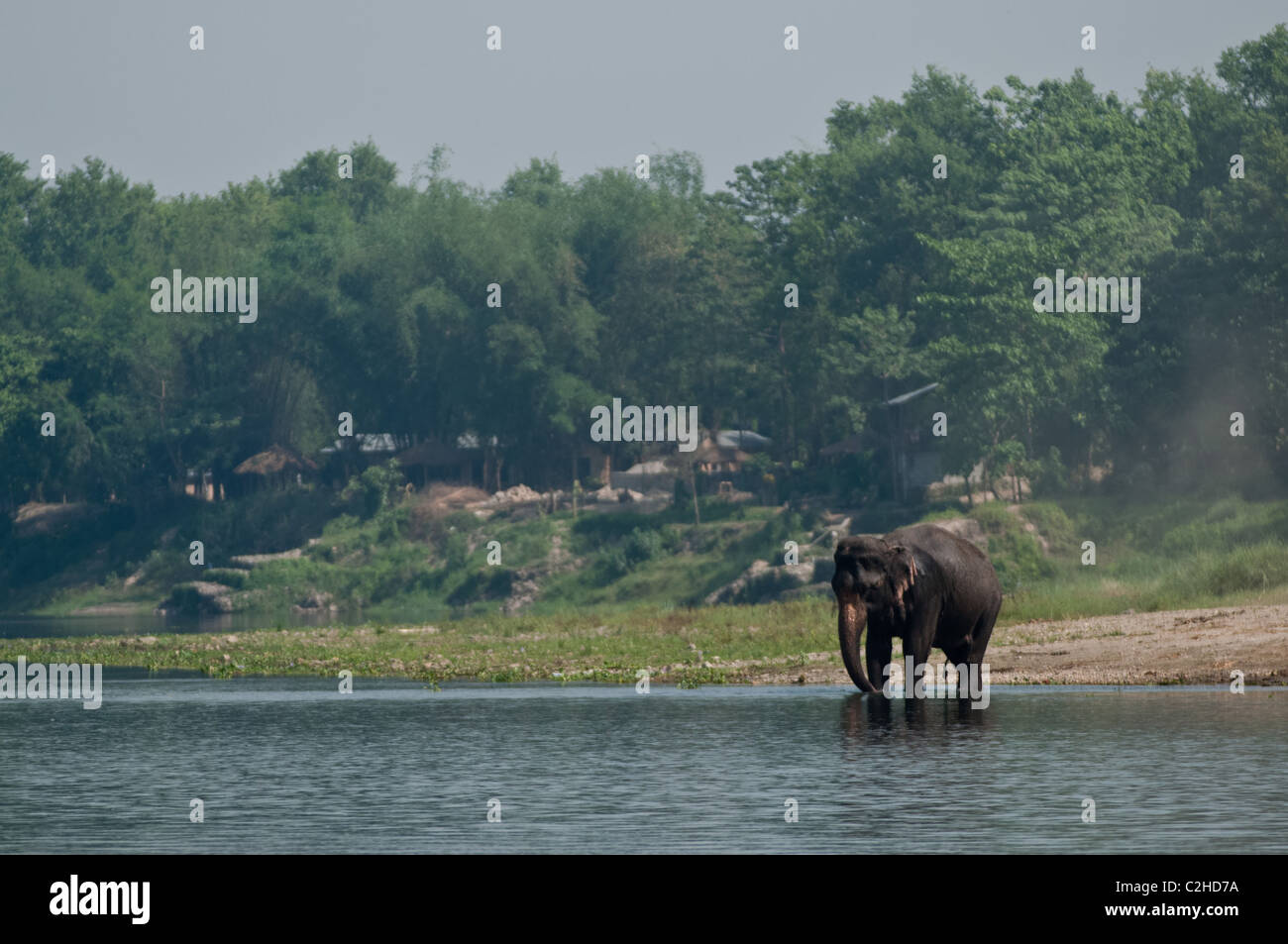 Chitwan national park hi-res stock photography and images - Alamy