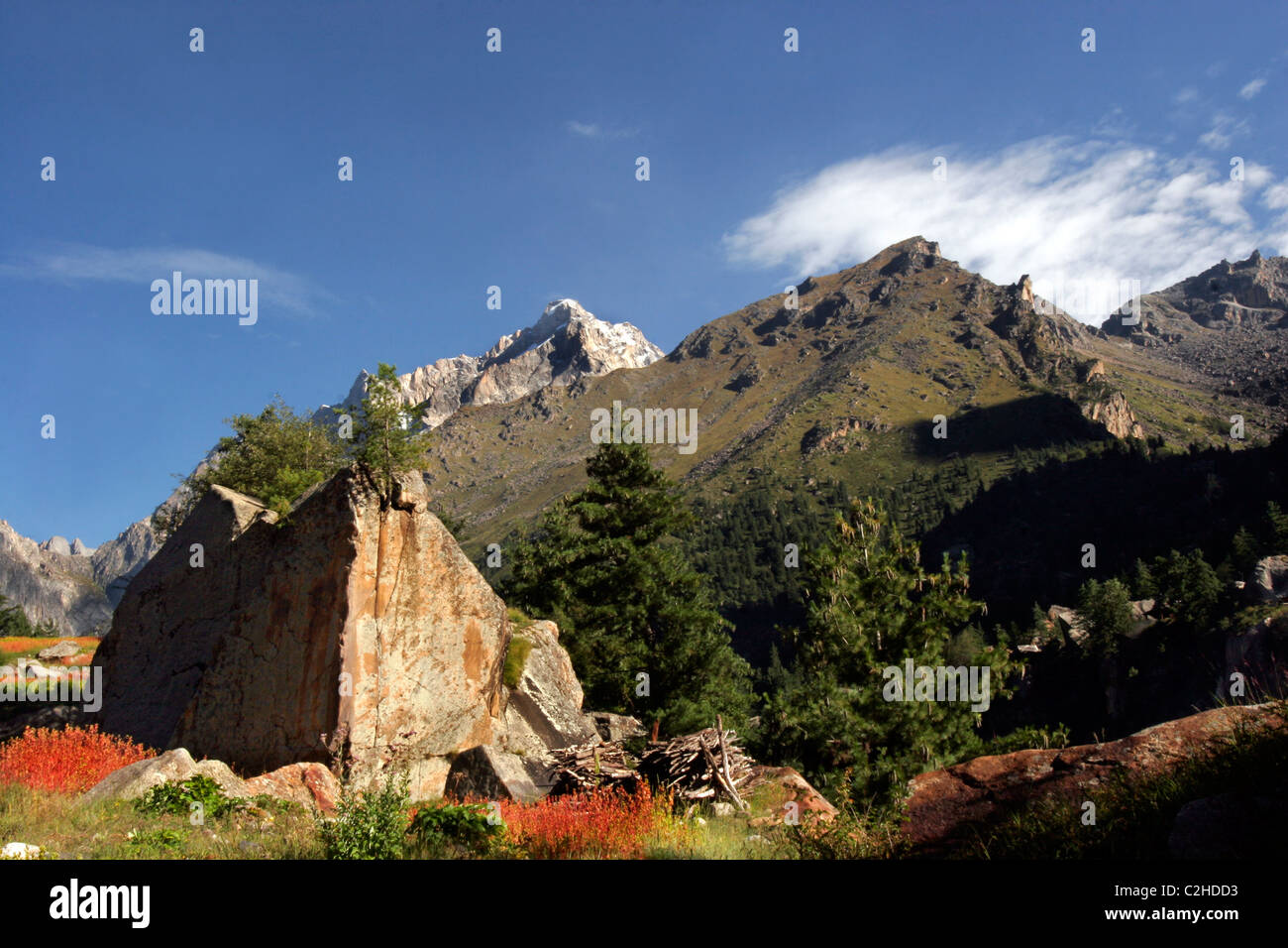 Phawra hi-res stock photography and images - Alamy