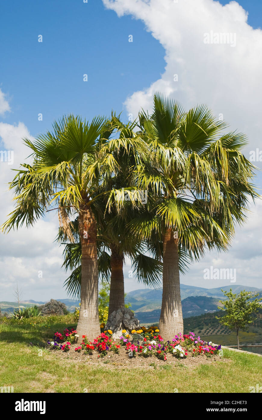 Michael thornton hi-res stock photography and images - Alamy