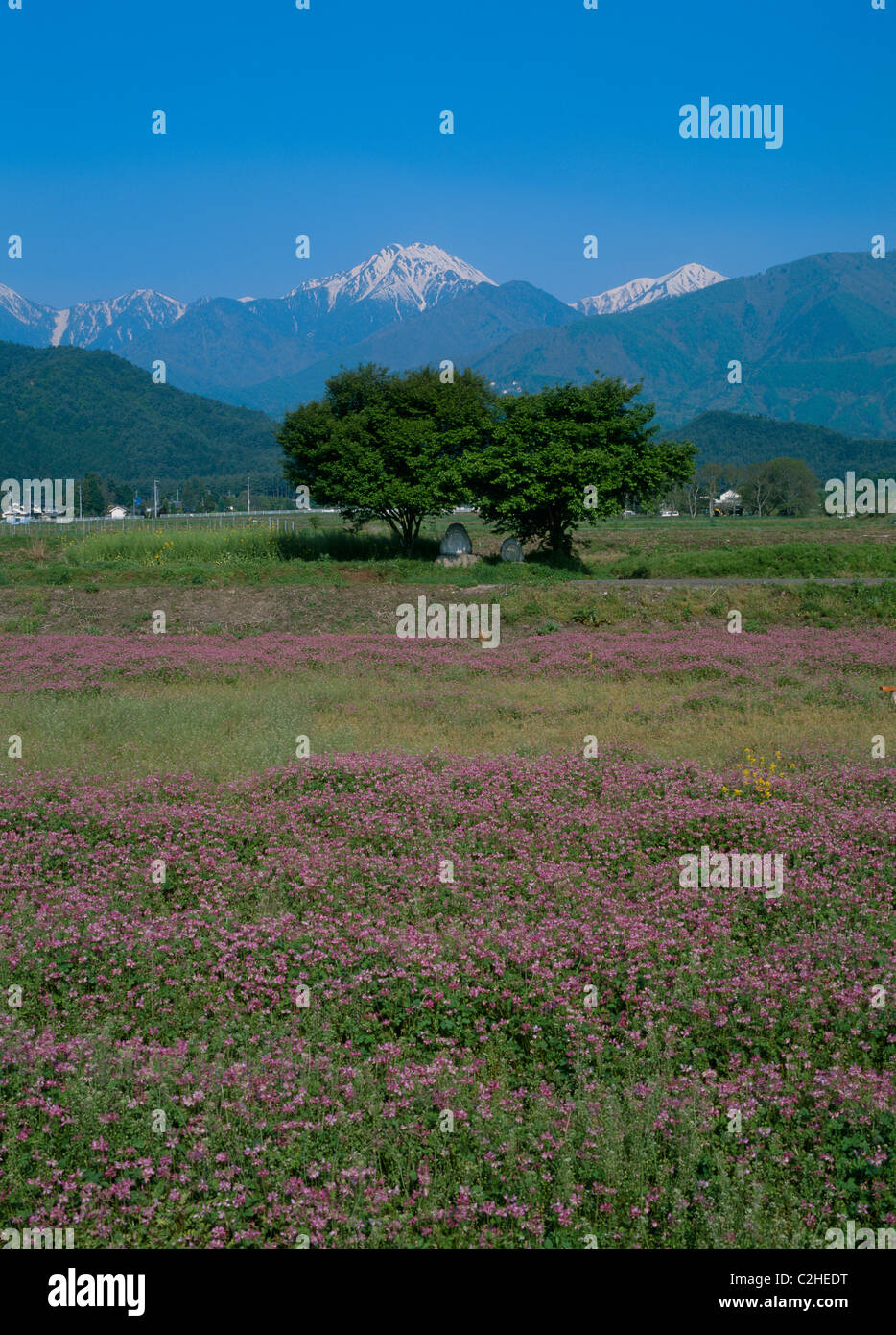 Mount Jonen Nagano Hi res Stock Photography And Images Alamy mount-jonen-nagano-hi-res-stock-photography-and-images-alamy