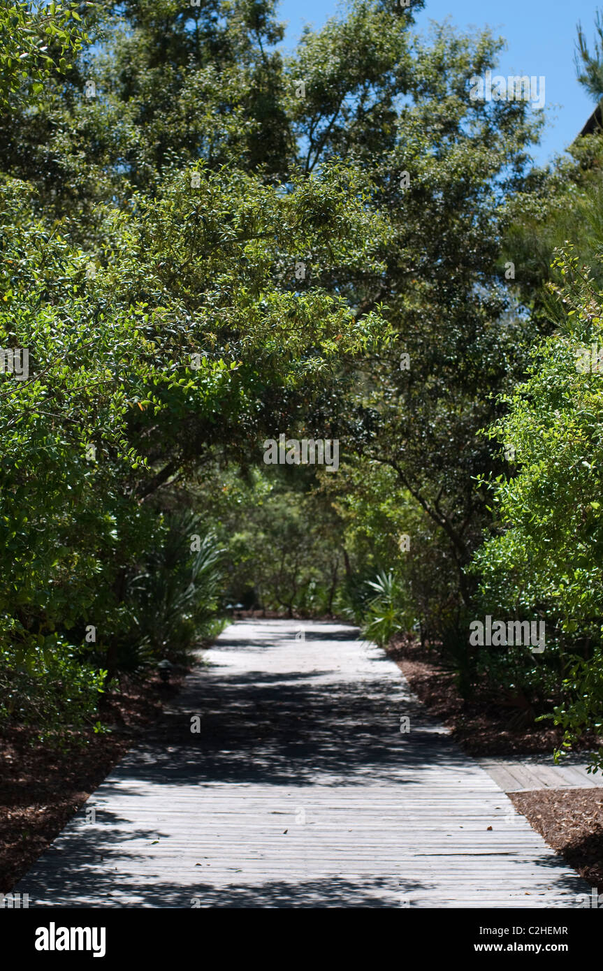 Shaded path walkway hi-res stock photography and images - Alamy