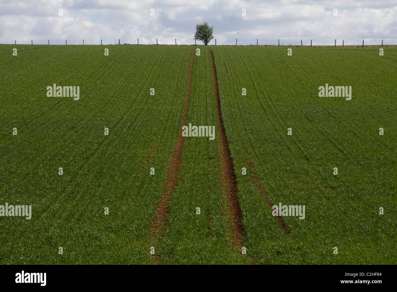 Field patterns hi-res stock photography and images - Alamy