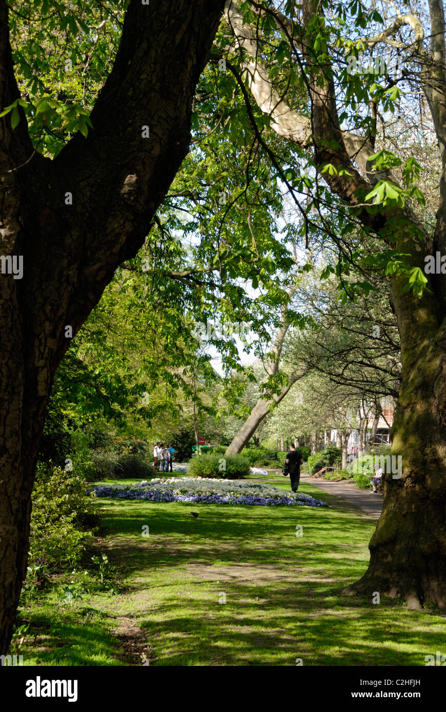 Compton Terrace Gardens, Islington, London, England Stock Photo - Alamy