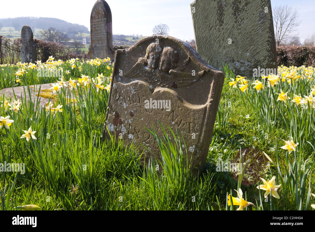Victorian gravestone hi-res stock photography and images - Alamy
